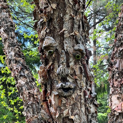 Forrest Stump Concrete Tree Face, Birthday Gifts, Gardeners Gift, Glass ...