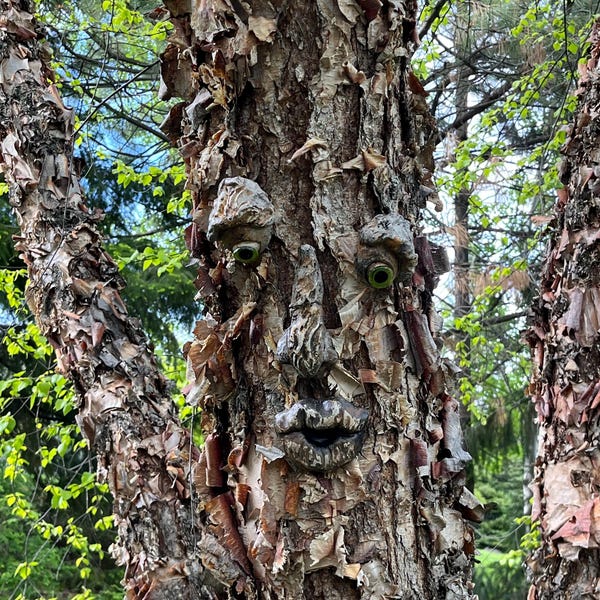 Forrest Stump - Concrete Tree Face Whimsical Gardeners Gift Forest Face ...