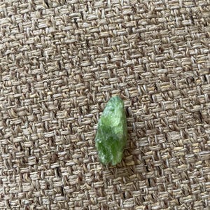 Rare Hemipristis Serra Serrated Shark Tooth Fossil Chalk, Cretaceous ...