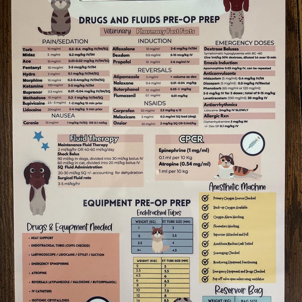 Vet Med Acronym Suffix Prefix Veterinary Cheat Sheet Vet Tech Notes ...