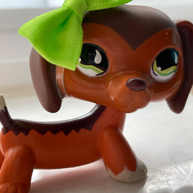 Littlest Pet Shop Savvy