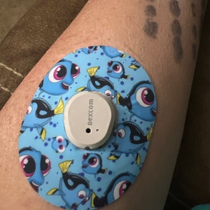 Dexcom G6 Transmitter Stickers 10 Pack Smiling Cat Dexcom Transmitter ...