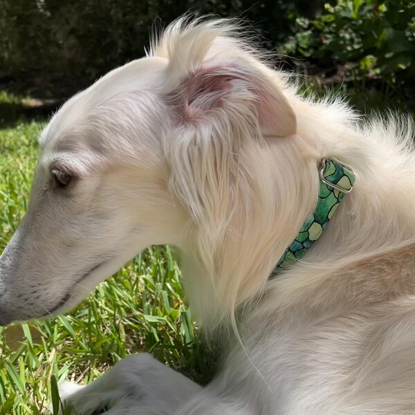 CUSTOM Hidden Prong Training Dog Collar - Real Leather - 2 Inch Wide ...