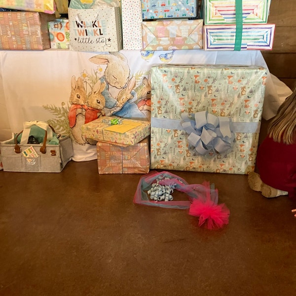 Peter Rabbit Sweatshirt Beatrix Potter Easter Birthday Gift Cutecore ...