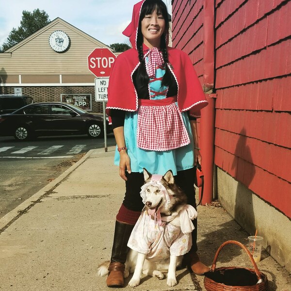 Little Red Riding Hood Costume, Fairy Tale Apron, Retro Apron, Dress up ...