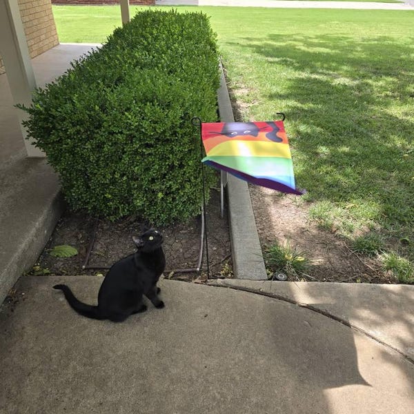 No Squirrels Flag Squirrels Prohibited No Squirrels Beyond This Point ...