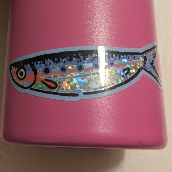 Silly Sardines - Fish Glitter Stickers - 3 Inches - Etsy