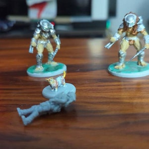 6pc Modular Rakshakin Tabaxi Warriors 32mm Scale Dnd Miniature Dungeons ...