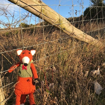 Ronnie the Fox Knitting Kit Make Your Very Own Fox Easy to Knit Pattern ...