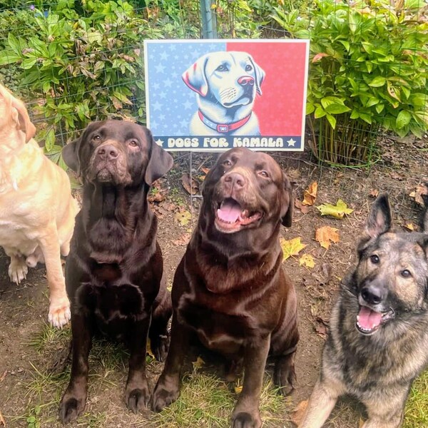 Dogs for Kamala Yard Sign, Dog Moms for Harris Sign, Dog Dads for ...