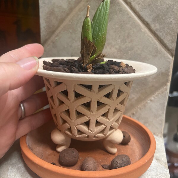 Furan Orchid Pot Fu Ran Pot Neofinetia Pot Fukiran Furan Pot Dendrobium ...