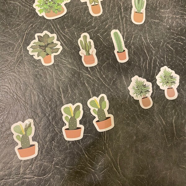Boho Plants Sticker Set - Houseplant Sticker Set - Cactus Stickers - Etsy