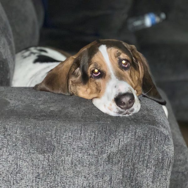 PRINTABLE - Coca Cola Bottle Art - Coca Cola - Coke Bottle Design ...