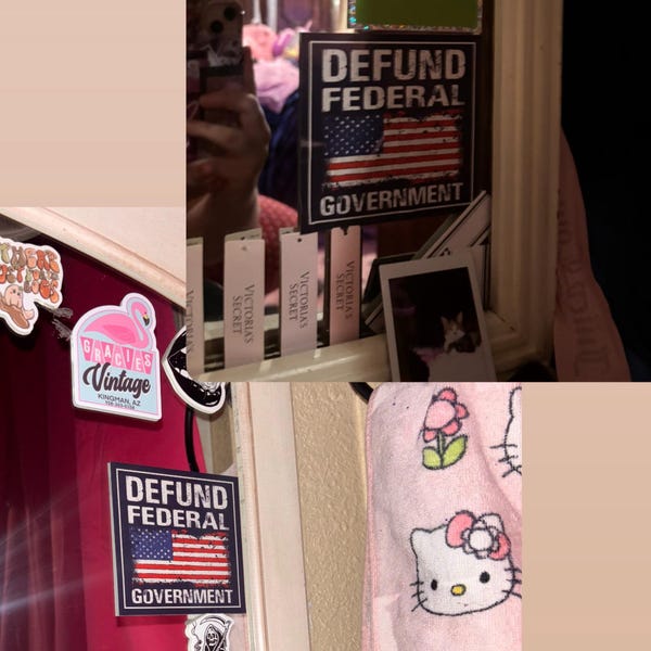 Defund the Federal Government Vinyl Decal Bumper Sticker | Libertarian ...