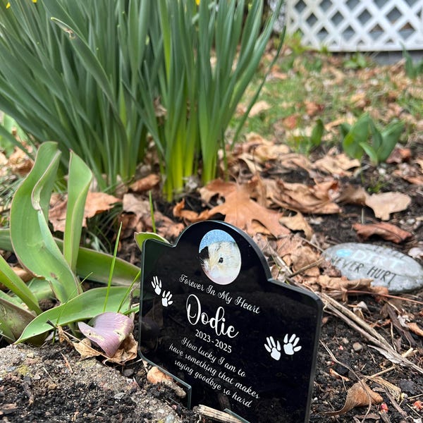 Personalized Grave Marker for Human, Playing in Heaven, Violin Player ...