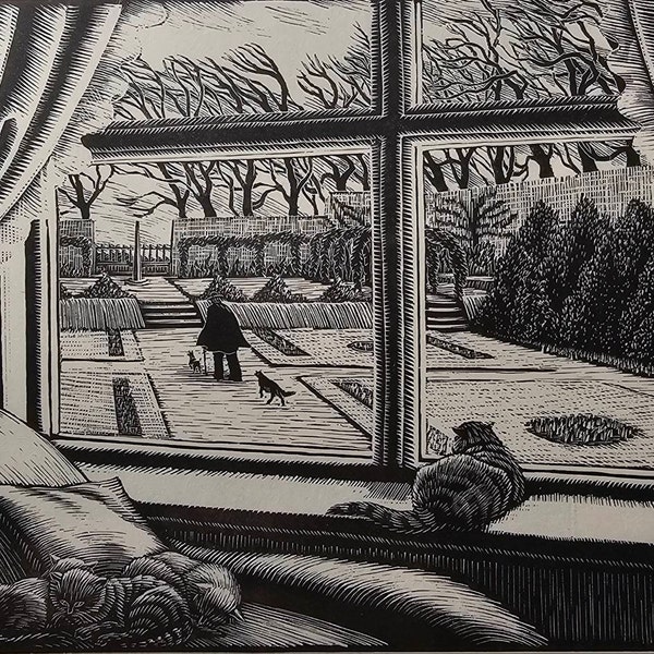 1815 EDWARD DONOVAN Hand Coloured Antique Woodblock Engraving ...