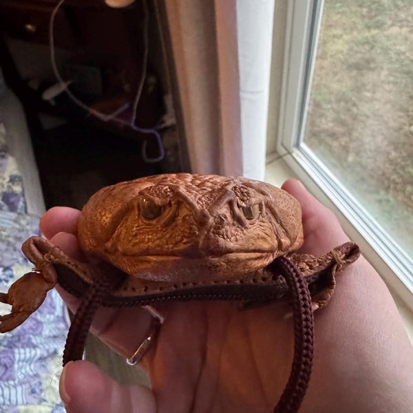 Cane Toad Coin Purse - Etsy