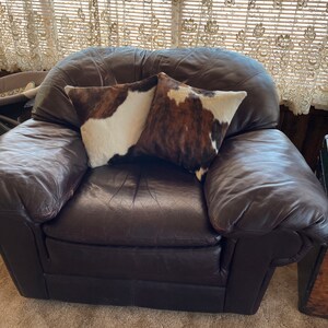 Springbok Hide Natural XXL African SPRINGBOK Skin Approx. | Etsy