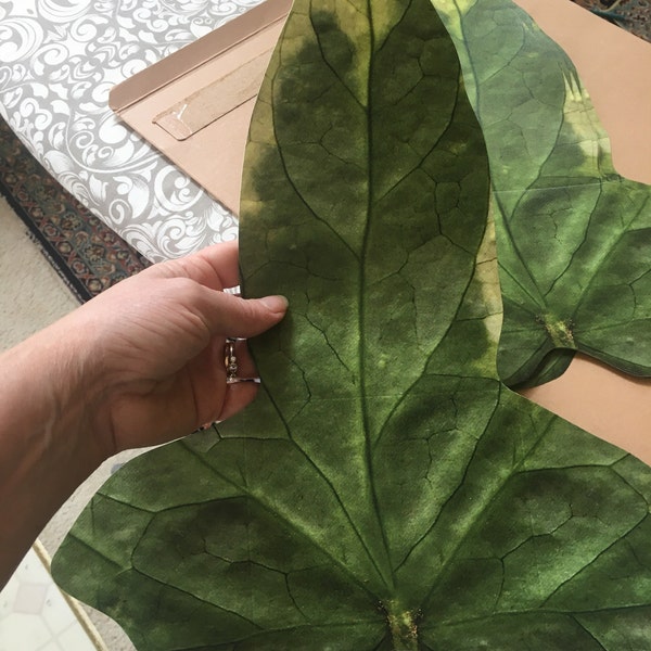 Tolkien Leaf - Inner Envelope - Holds 5" Cards - Fits 6" Envelopes - Etsy