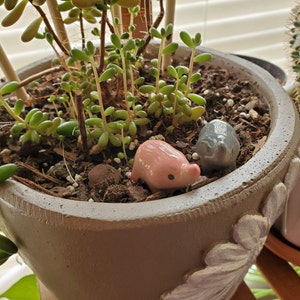 Oak Wooden Whistle Asian Elephant | Etsy