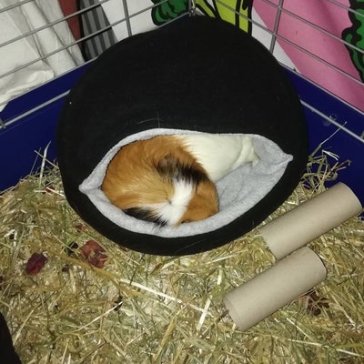 Guinea Pig Piggie Pod Bed CUSTOM ORDER Medium Size - Etsy