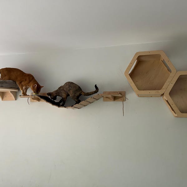 Cat Wall Mount Furniture, Cat Wall Bed, Wooden Cat Hexagon Shelves ...