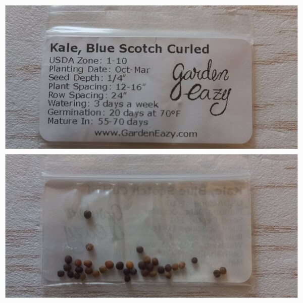 Kale Seeds - Organic, Heirloom, Open Pollinated, Non GMO - Grow Indoors ...