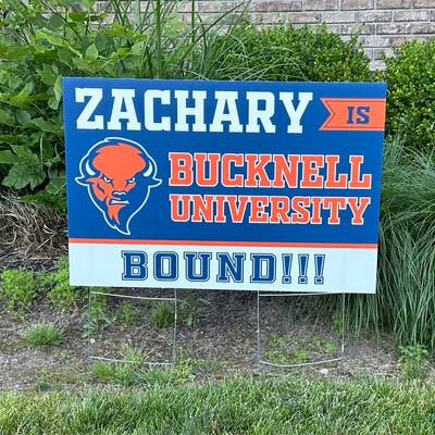 Custom Political Sign, Election Signs, Personalized Yard Sign, 24 X 18 ...