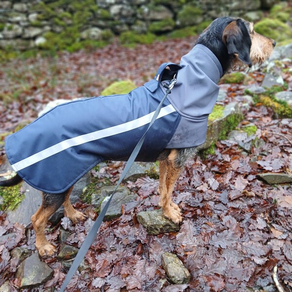 Grab Traffic Handle Lead - 2 Colour Waterproof Biothane Dog Lead With ...