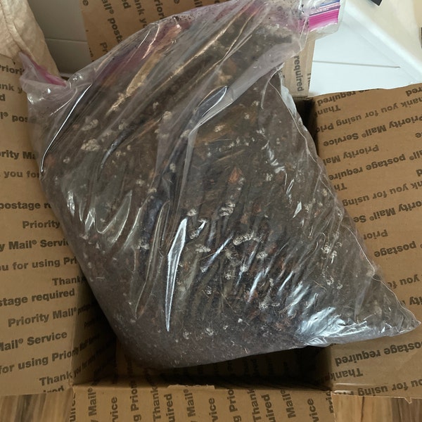 Sol Mix - Tropical Aroid Mix With LECA - Soilless Grow Medium for ...