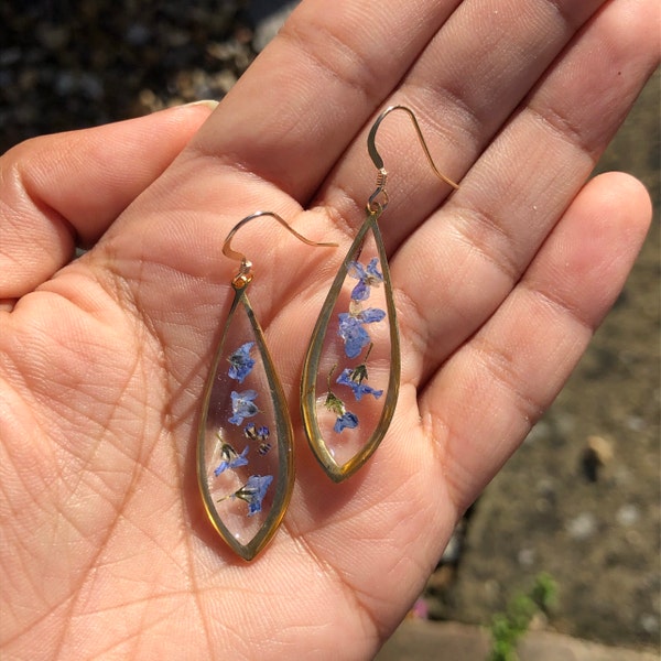 Pressed Real Dry Forget Me Not Flower, Pressed Blue Forget Me Not ...