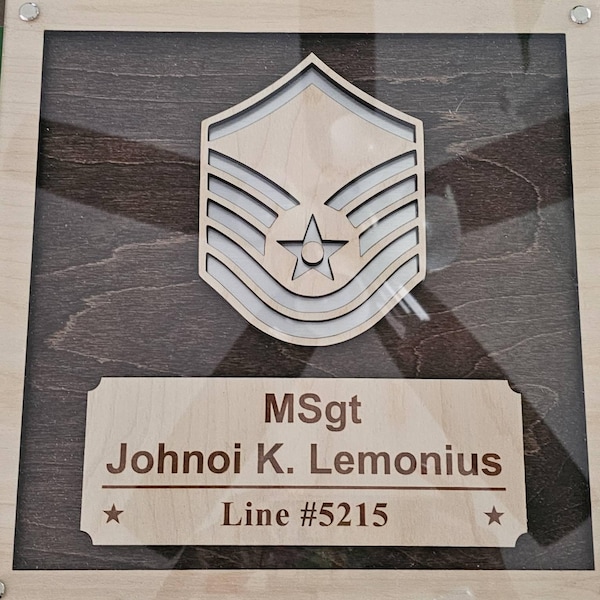 Air Force Promotion Gift Plaque, Military Promotion Gift for Officer or ...