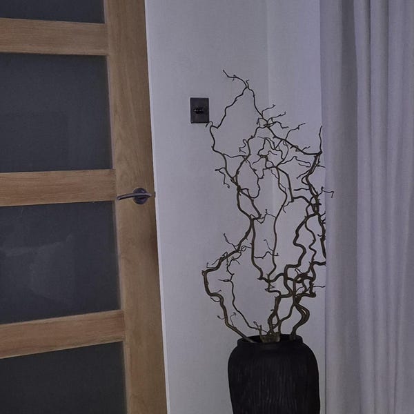 Long Twisted Hazel Branches, Corylus Twigs for Vase, Japandi Branches ...