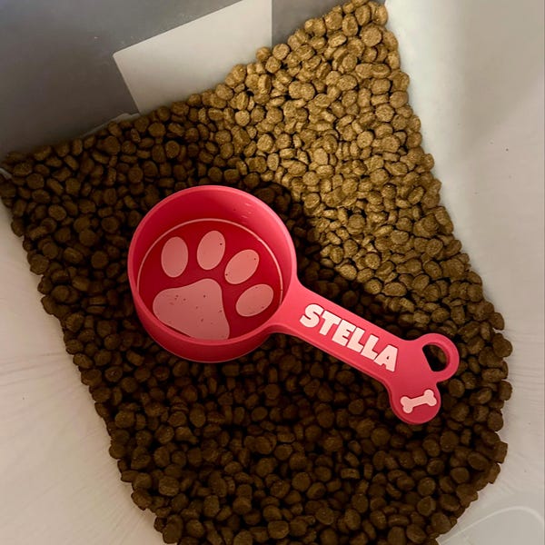 Personalized Dog Food Scoop, Pet Food Measuring Cup With Name, Kibble ...