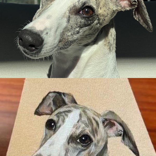 Cartoon Dog Painting,custom Pet Portrait,pet Portrait From Photo, Pet ...