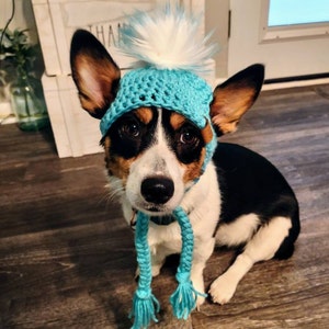 Corgi Beanie Dog Beanie Corgi Hats Dog Hat Dog Beanie | Etsy