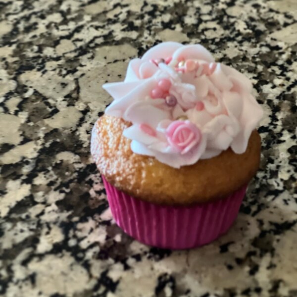 Mini Royal Icing Roses Pastel Pink - Etsy