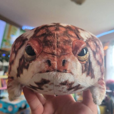 NEW Rain Frogs Grumpy Frog Mini Plushie Stuffed Animals - Etsy