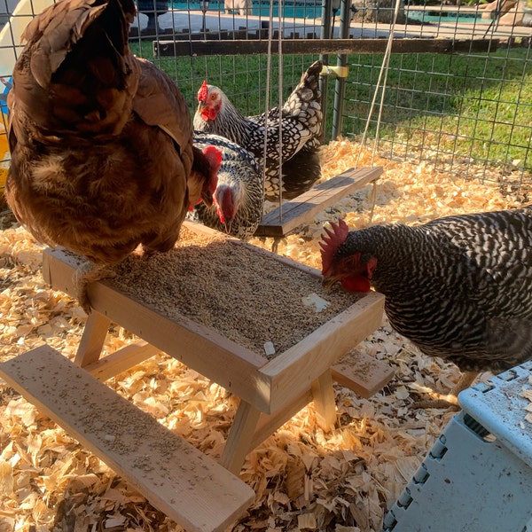 Chicknic Picnic Table for Chickens - Etsy