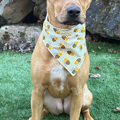 Dog Bandana Sea Turtles Elastic Dog Bandana Scrunchie Dog - Etsy