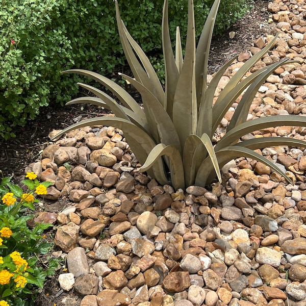 Octopus Agave Desert Landscaping, Zeroscaping, Xeriscape, Drought ...