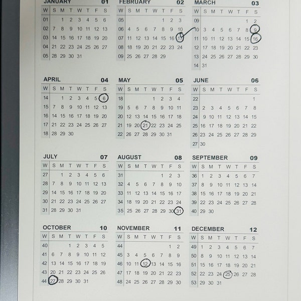 Daily Work Planner Templates for Remarkable 2 | 2025-2026 | Hyperlinked ...