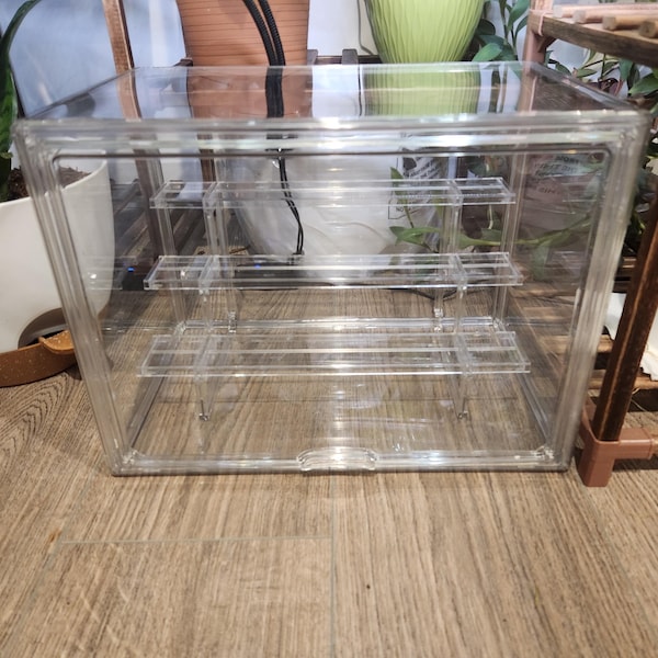 Mini Greenhouse L | Acrylic Clear Plant Propogation Box | With ...