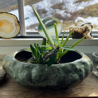 Premium Large Shallow Succulent Planter Pot, Ceramic With Decorative ...