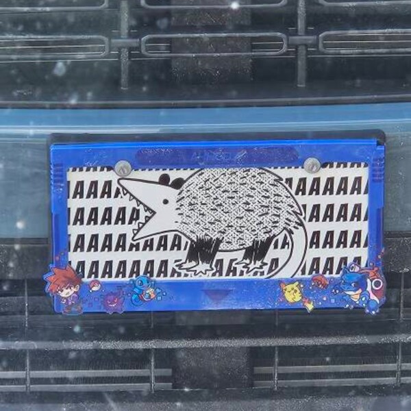 Opossum License Plate, Possum Car Decor, Funny Car Accessories for Men ...