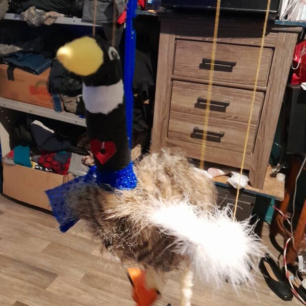Penguin String Puppets. They Waddle Around Playing on the Ice. These ...