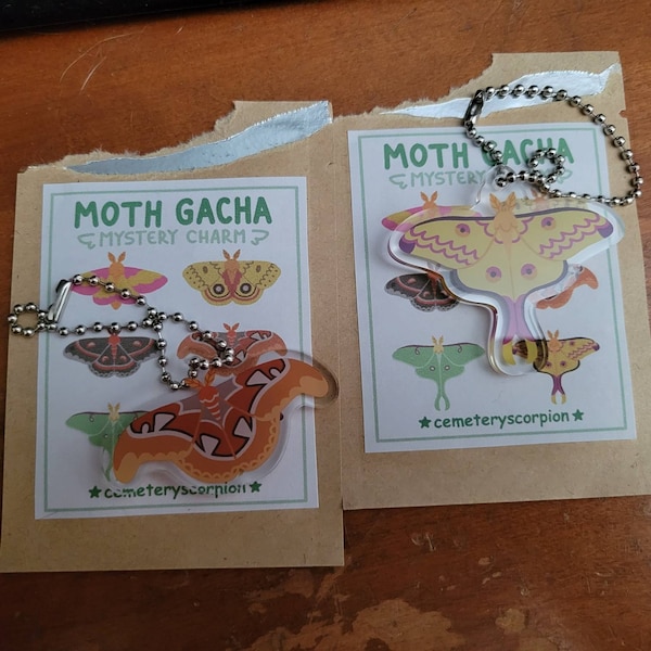 Moth Gacha Mystery Acrylic Charms - Etsy