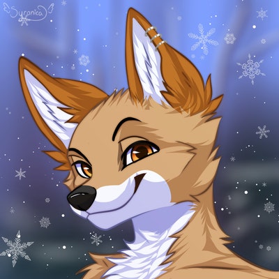 Fursona Coloring Page Smirk Pfp Icon Base Furry Digital Download DIY ...