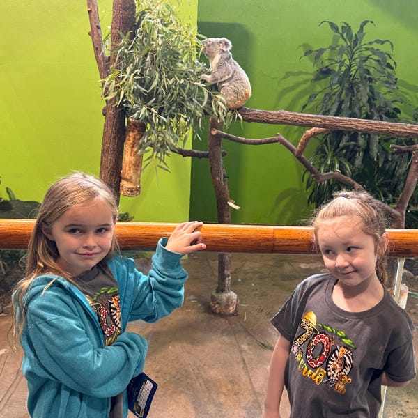 Once a Tiger, Always a Tiger DTF Transfer, Showcase Lifelong Pride ...