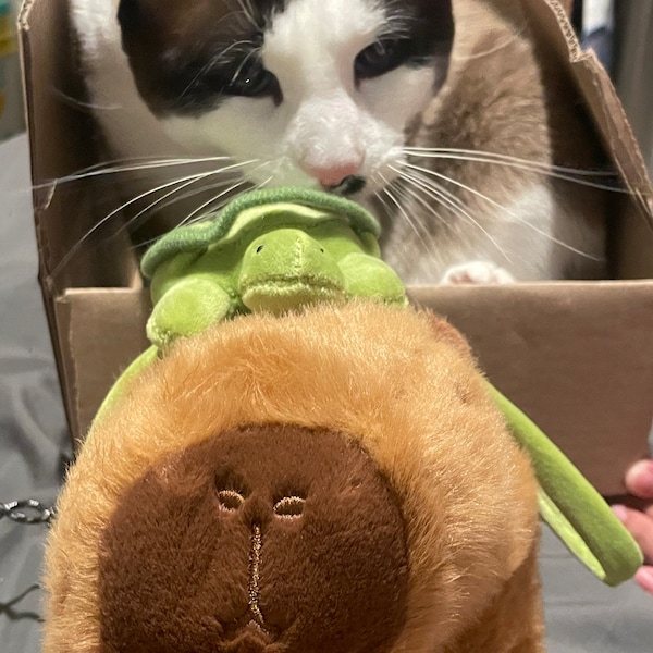 Capybara Chalk Bag W/ Turtle - Etsy